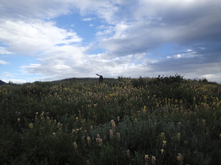 Lull before storm | Coach Cary