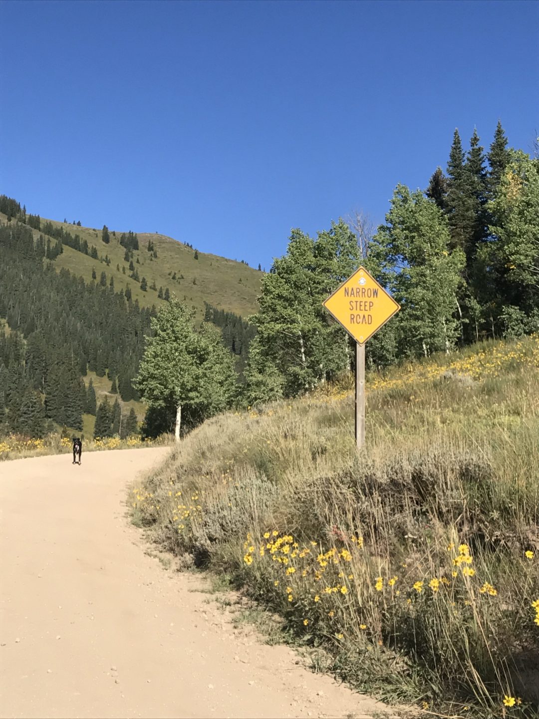 Narrow steep road | Coach Cary